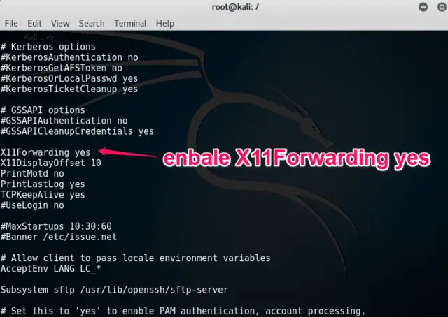How to enable x11 forwarding in Kali Linux - Technical Ustad