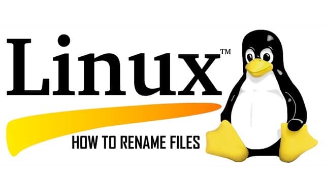 How To Rename Files in Linux - A Step By Step Guide