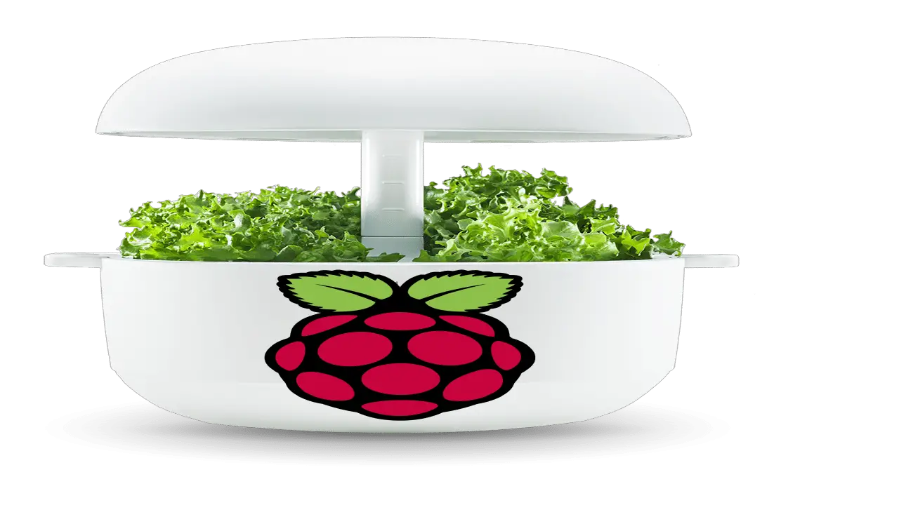 Build Smart Garden with Raspberry Pi using Moisture sensor