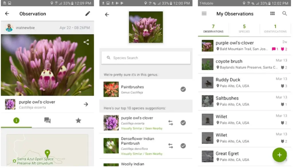 13 The Best Plant Identification Apps to Identify Plants