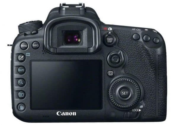 7 Of The Best Camera For Bird Photography - Reviewed 🤴