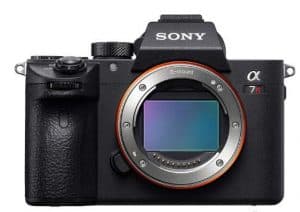 13 Of The Best Low Light Camera To Buy in 2022 - Reviewed 🤴