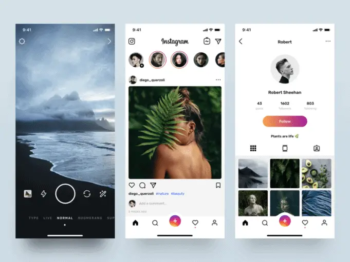 What are The Pros and Cons of Instagram? -A Detailed Guide🤴