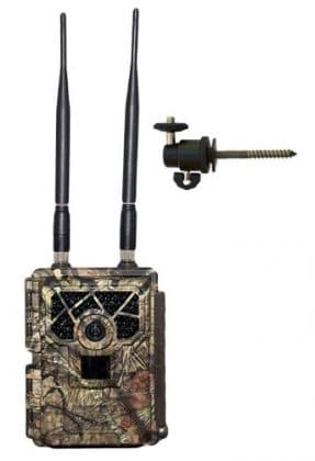 7 Of The Best Cheap Trail Cameras in 2021 - Reviewed 🤴
