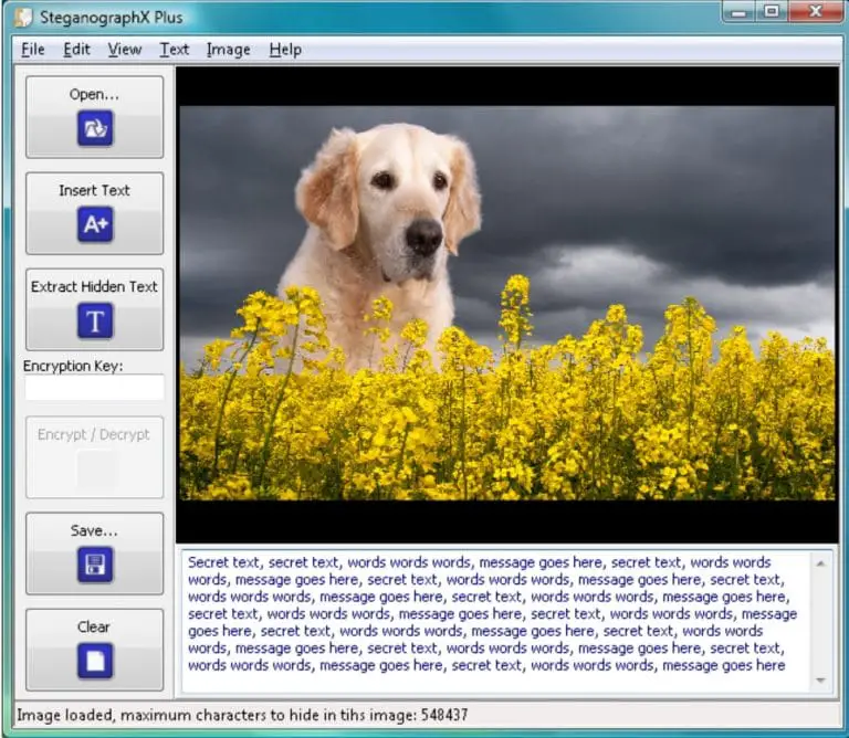 21 Of The Best Steganography Tools To Hide Pictures [2022]
