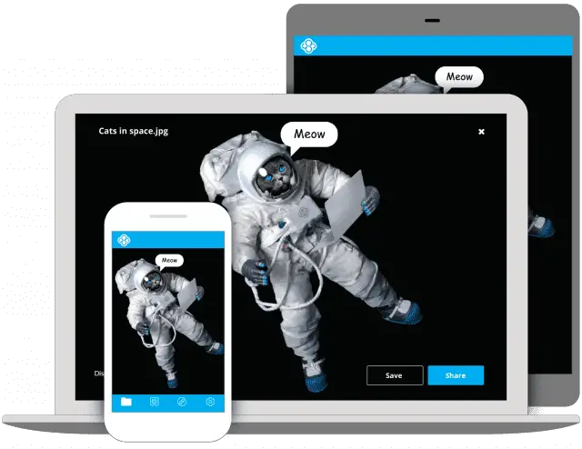 25 Of The Best File Sharing Sites in 2021 - Reviewed 🤴
