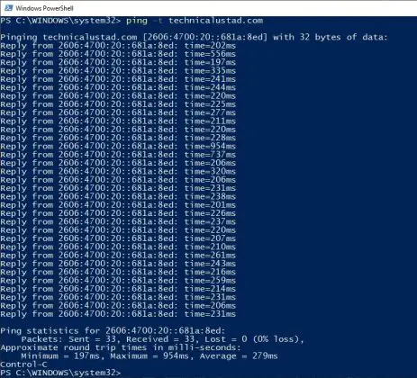 How To Ping a Website To Test The Availability of Website🤴