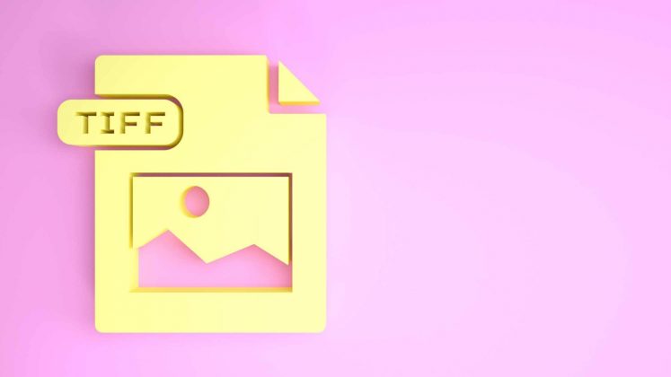 What Is a TIFF File? 🤔 Advantage and Disadvantage of TIFF