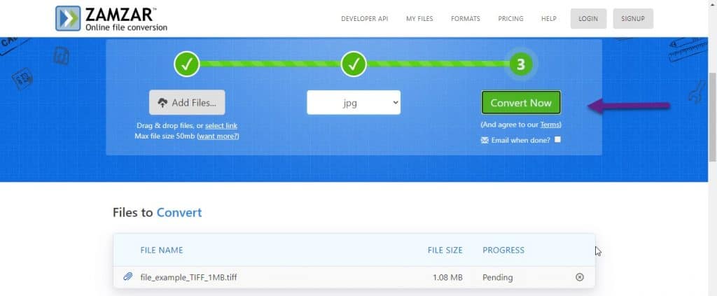 What Is a TIFF File? 🤔 Advantage and Disadvantage of TIFF