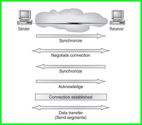 What Is The Difference Between TCP and UDP Protocol?🧐