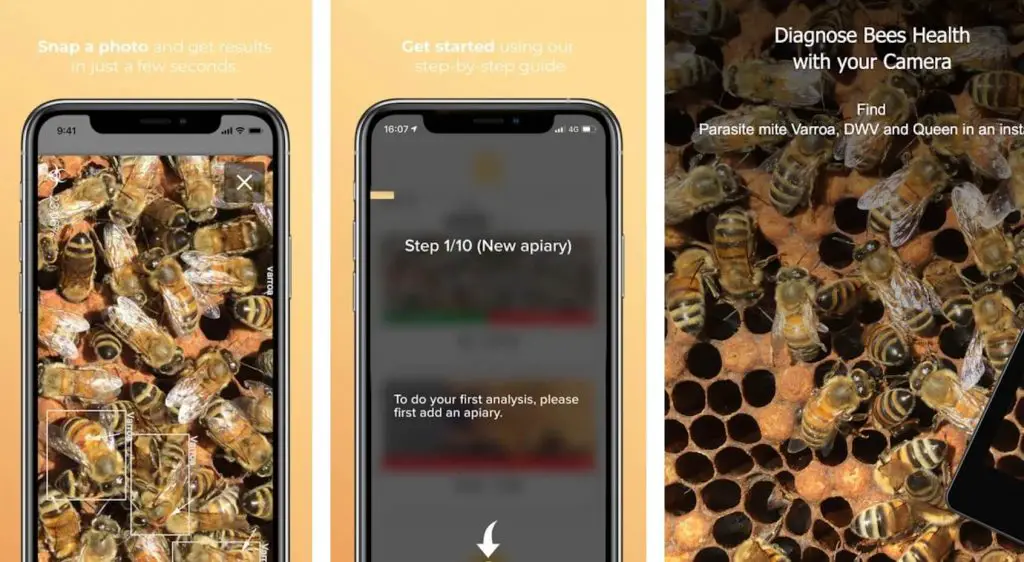11 Best Beekeeping Apps For Beekeeping Assistant [2023]