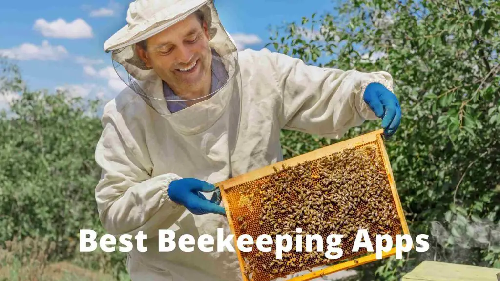 11 Best Beekeeping Apps For Android and iOS Devices 😎😎