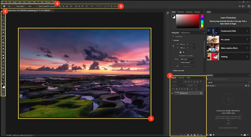 Canva vs Photoshop- Which Graphics Designing Tool You Need?