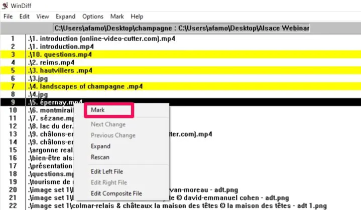 Step-By-Step Guide To Use WinDiff To Compare Files [2025]