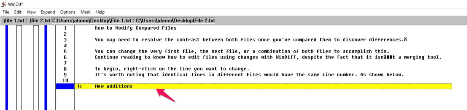 Step-By-Step Guide To Use WinDiff To Compare Files [2025]