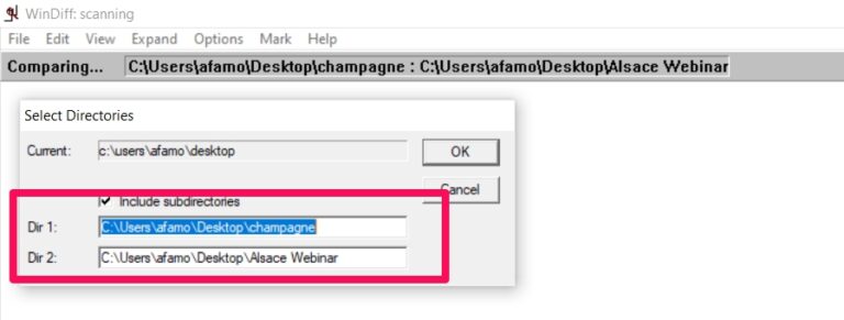 Step-By-Step Guide To Use WinDiff To Compare Files [2025]