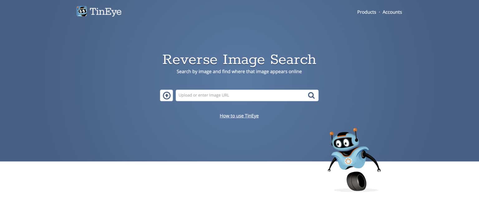 11 Best PimEyes Alternatives For Reverse Image Lookup [2025]