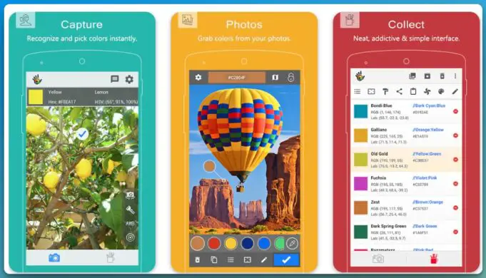 5 Best Color Identifier Apps To Identify Colors Like a Pro