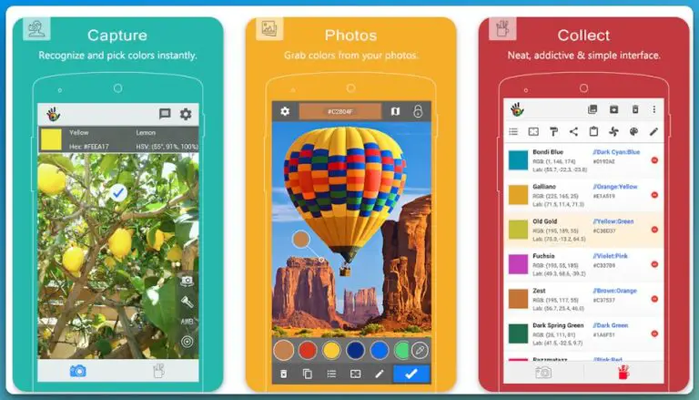 5 Best Color Identifier Apps To Identify Colors Like a Pro