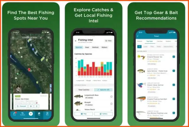 9 Best Fishing Forecast Apps For Your Next Fishing Trip 2025
