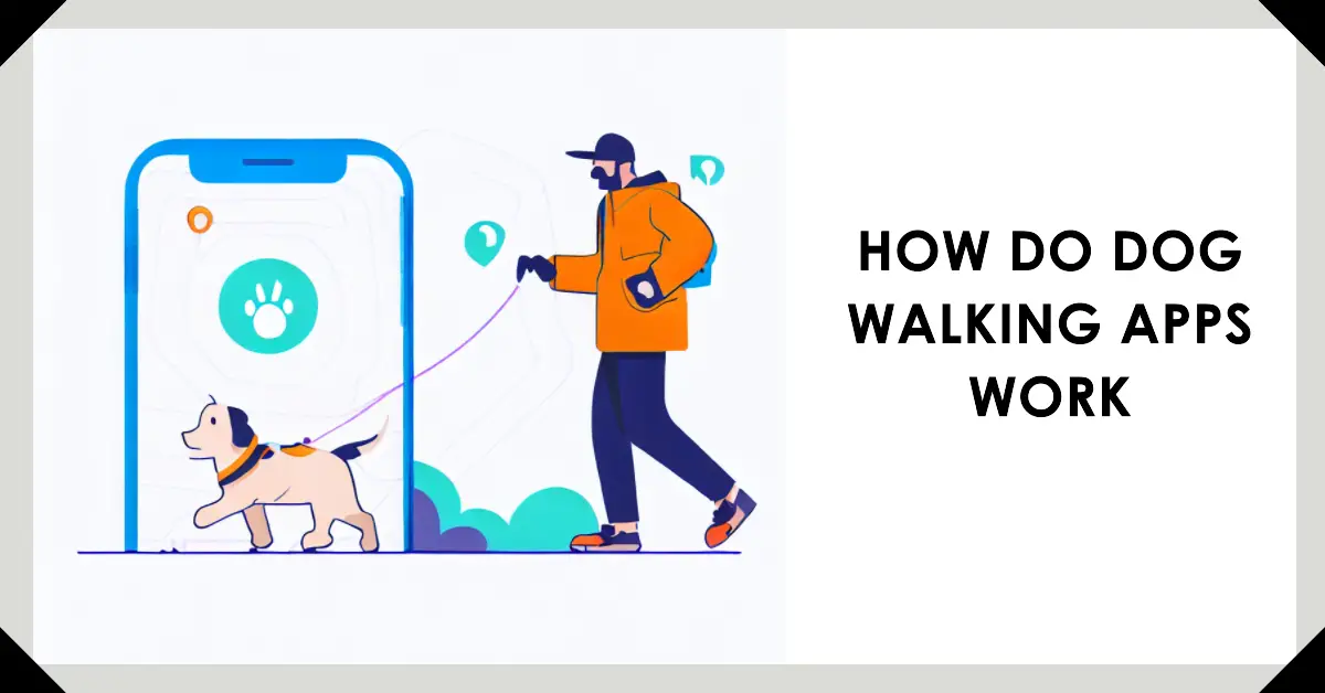 5 Best Dog Walking Apps - From Woofs To Walks [2024]