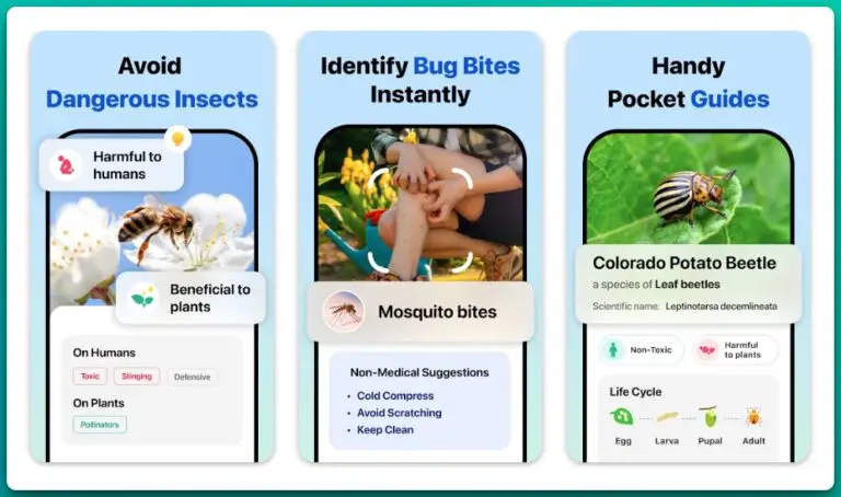 9 Best App To Identify Bugs To Become a Bug Expert [2025]